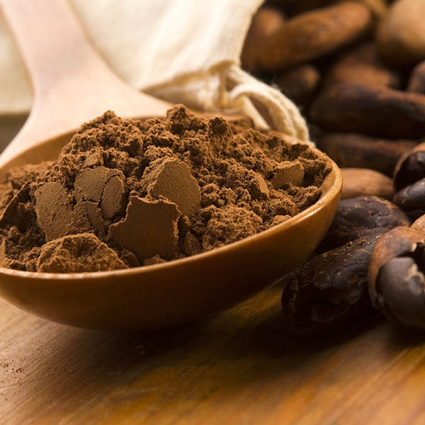 Raw Cacao: The Good Chocolate — Raw Bites